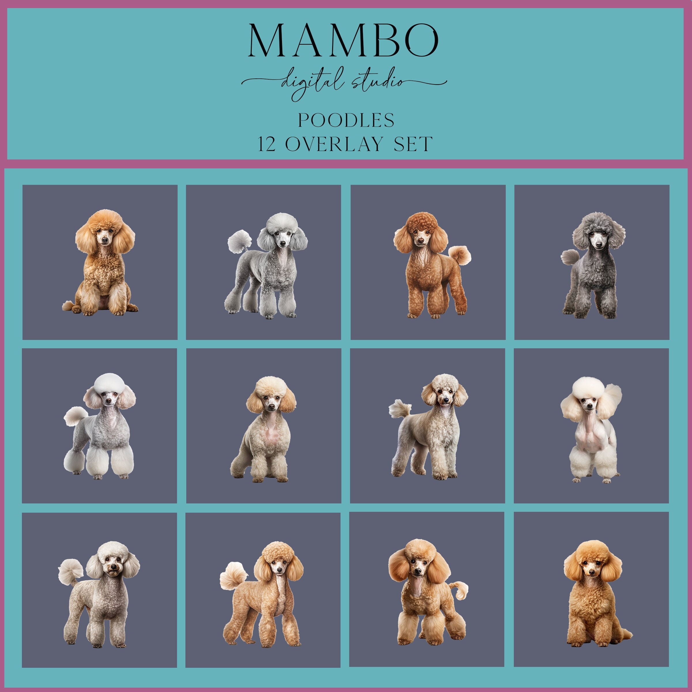 Poodle Dogs Photoshop Overlay Set, Photoshop Overlays, Digital Overlay ...