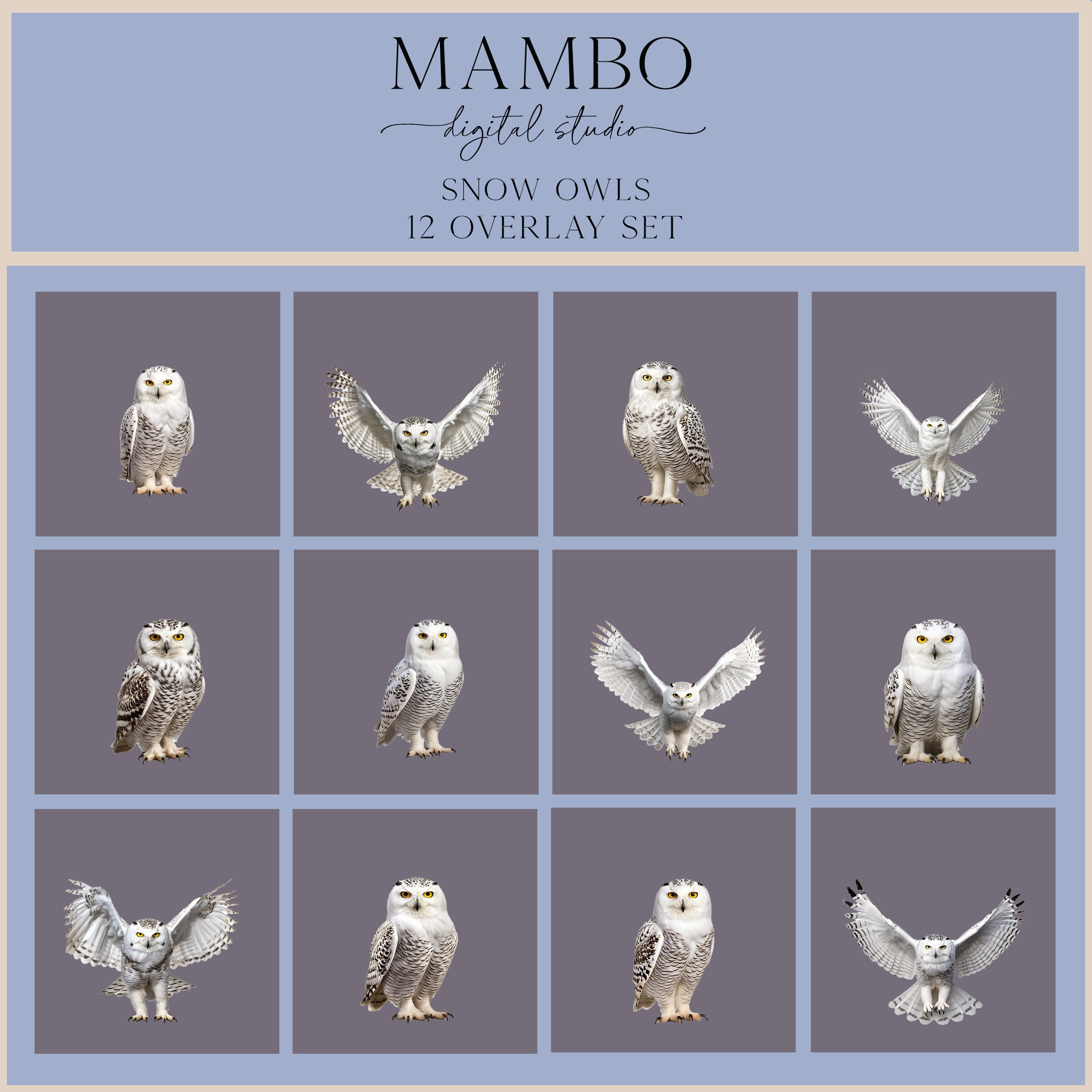 Snow Owl Photoshop Overlay Set, Photoshop Overlays, Digital Overlay ...