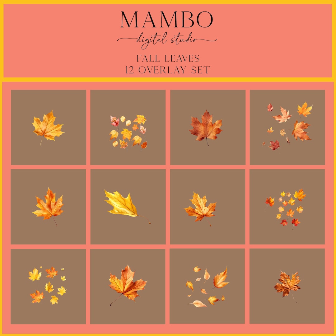 Fall Leaves Photoshop Overlay Set, Photoshop Overlays, Digital Overlay ...