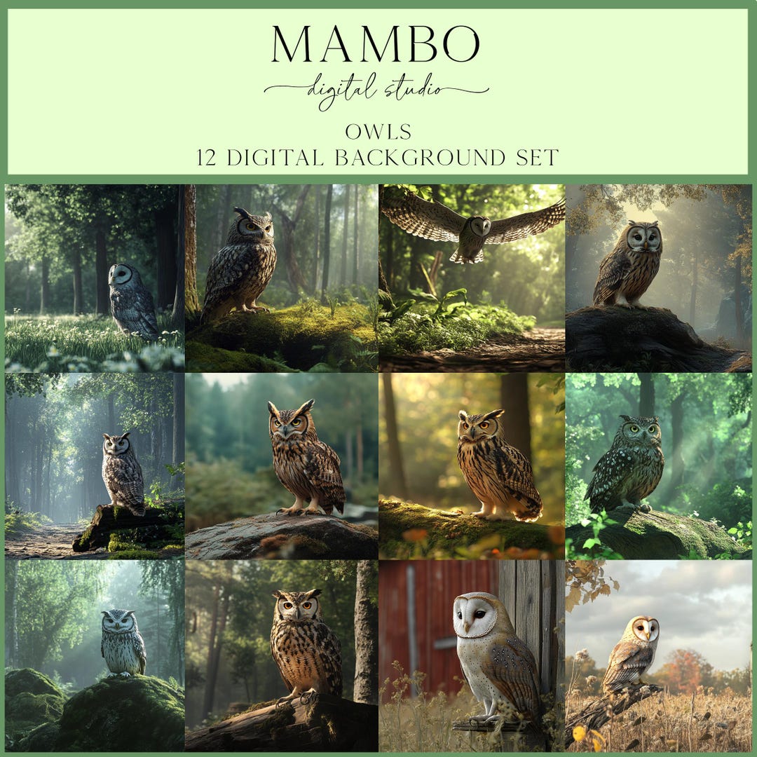 Owl Scenes Digital Backdrop Set, Photoshop Background, Digital ...