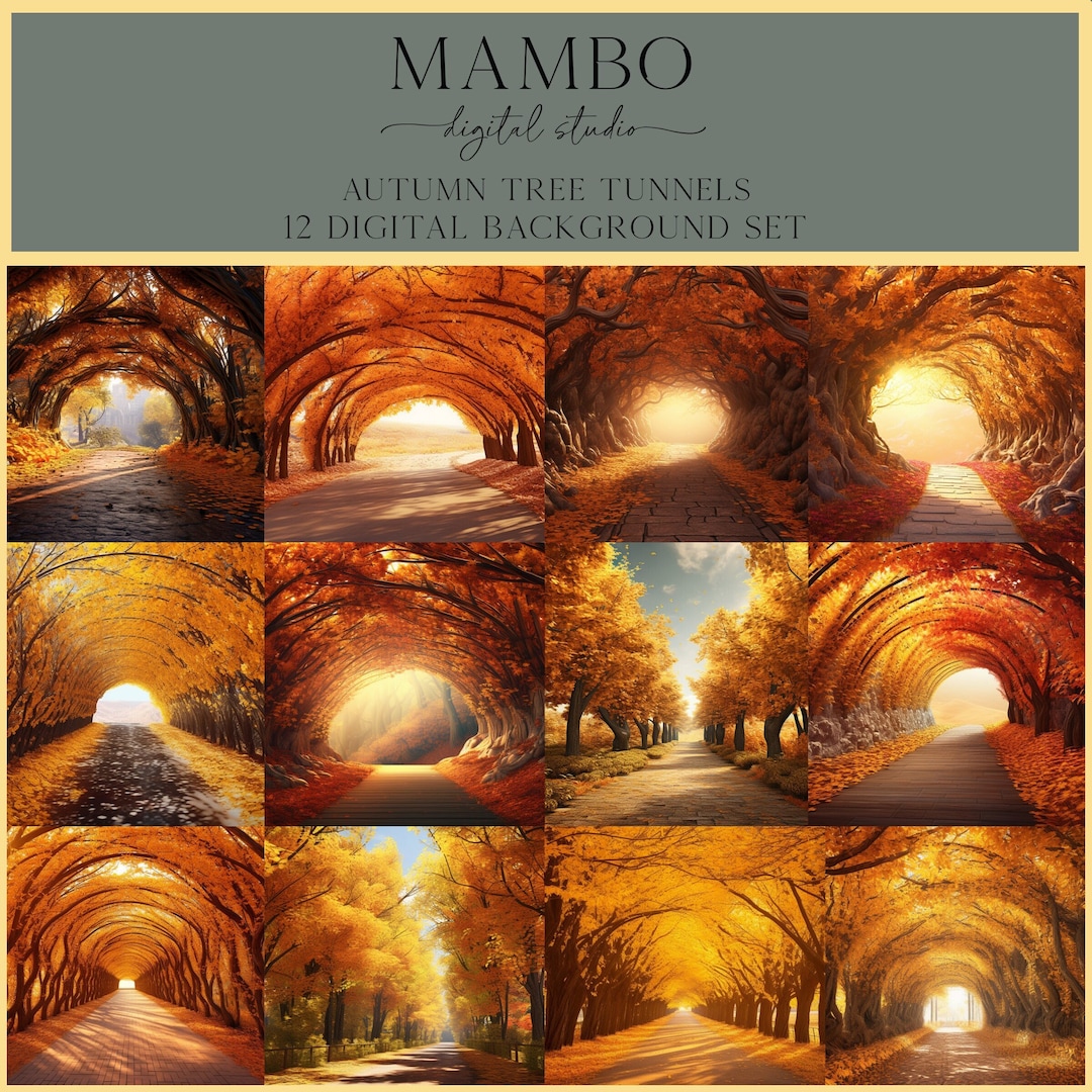 Autumn Tree Tunnels Digital Backdrop Set, Photoshop Background, Digital ...