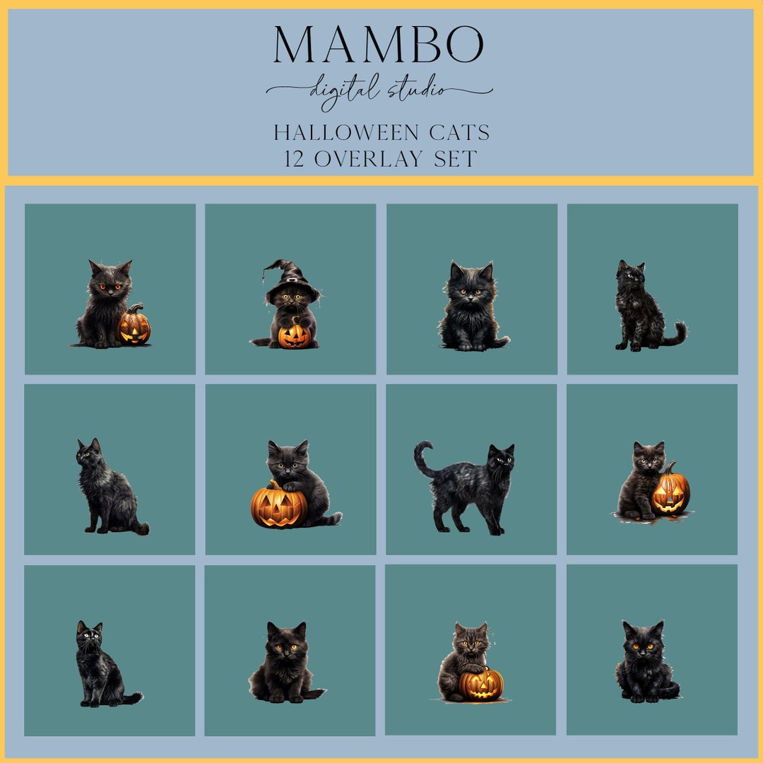 Halloween Cats Photoshop Overlay Set, Photoshop Overlays, Digital ...