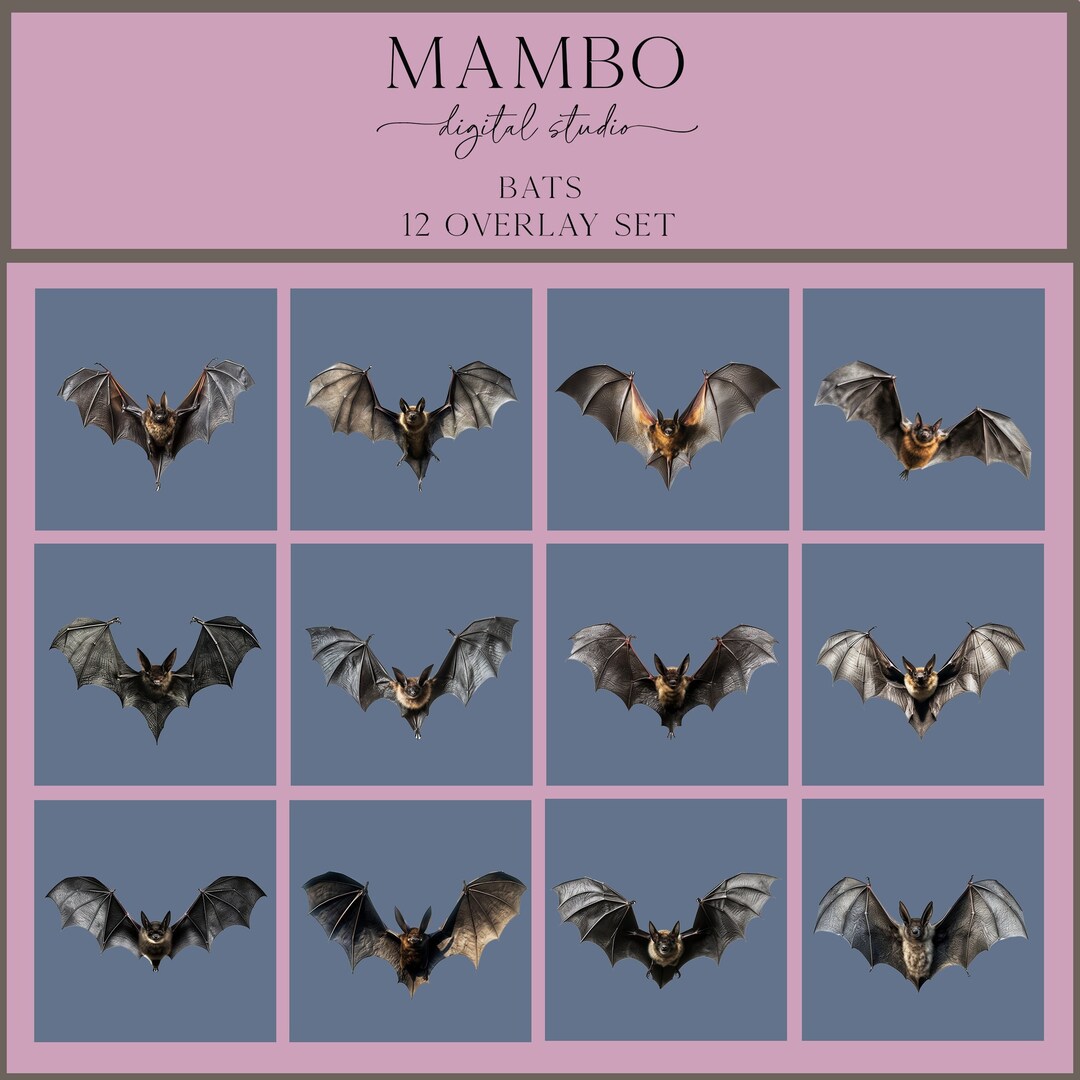 Bats Halloween Photoshop Overlay Set, Photoshop Overlays, Digital ...