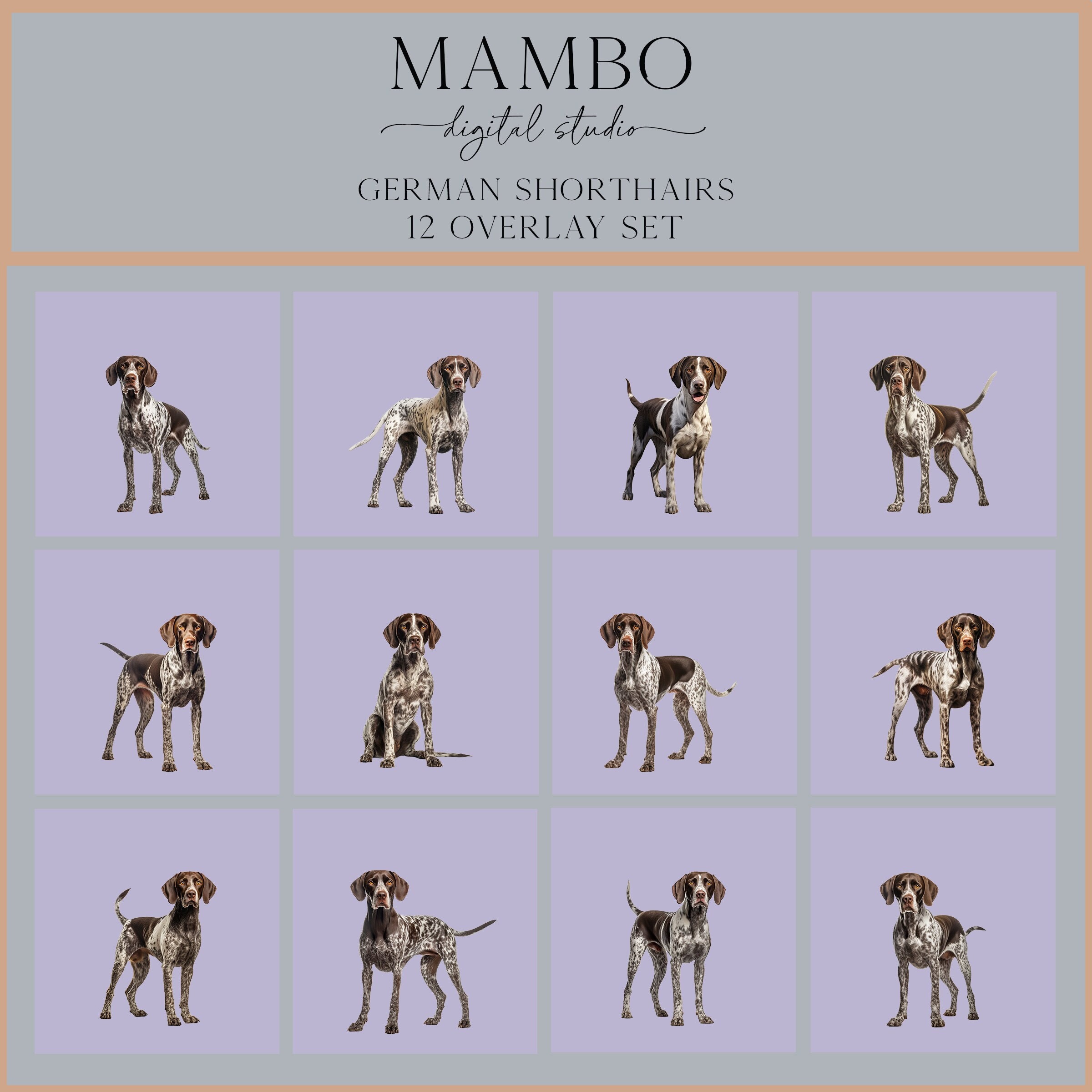 German Shorthair Dogs Photoshop Overlay Set, Photoshop Overlays ...