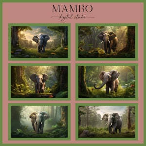 Elephant Forest Scenes Digital Backdrop Set, Photoshop Background ...