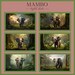 Elephant Forest Scenes Digital Backdrop Set, Photoshop Background ...