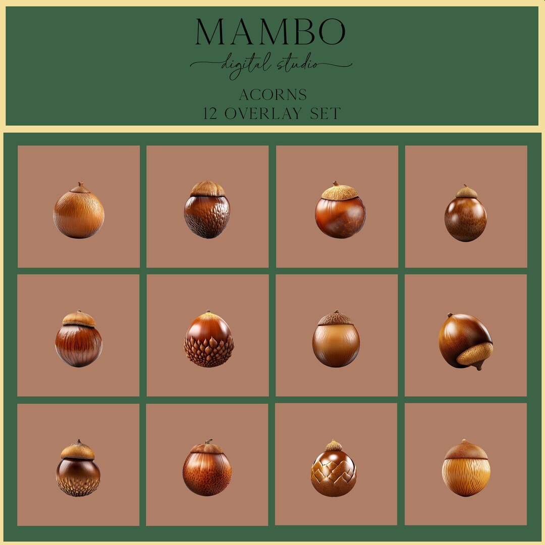 Acorns Photoshop Overlay Set, Photoshop Overlays, Digital Overlay ...