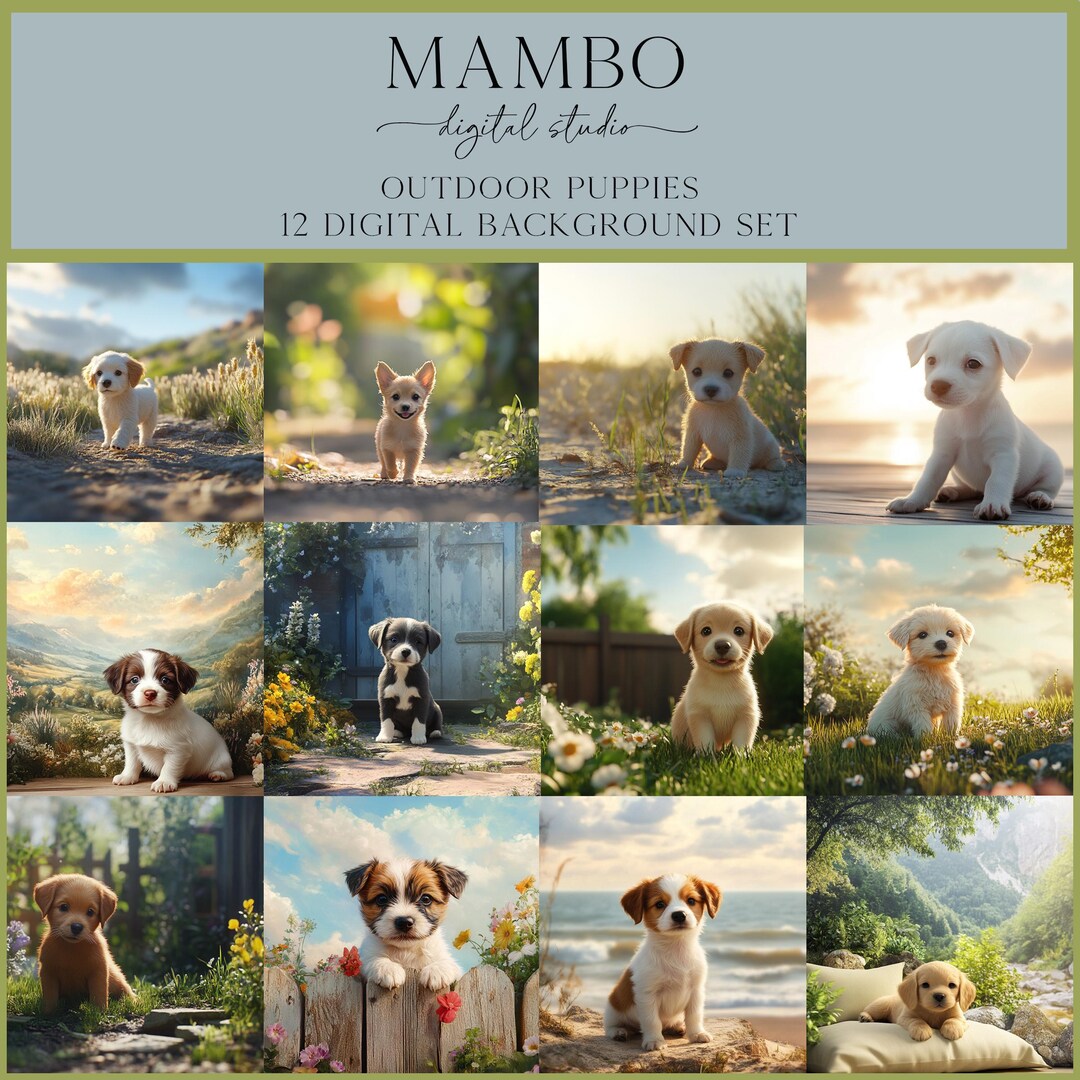Outdoor Puppy Dog Scenes Digital Backdrop Set, Photoshop Background ...