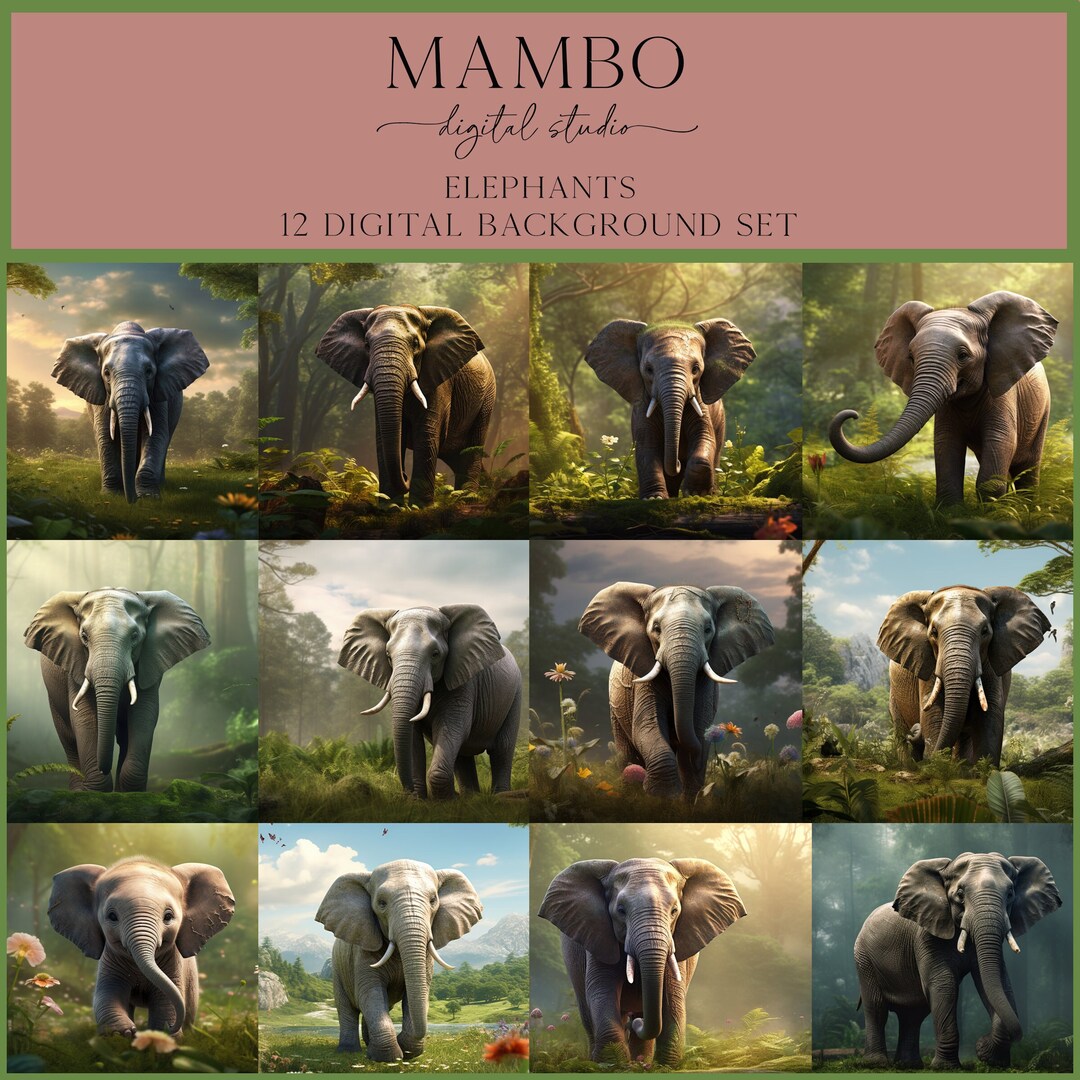 Elephant Forest Scenes Digital Backdrop Set, Photoshop Background ...