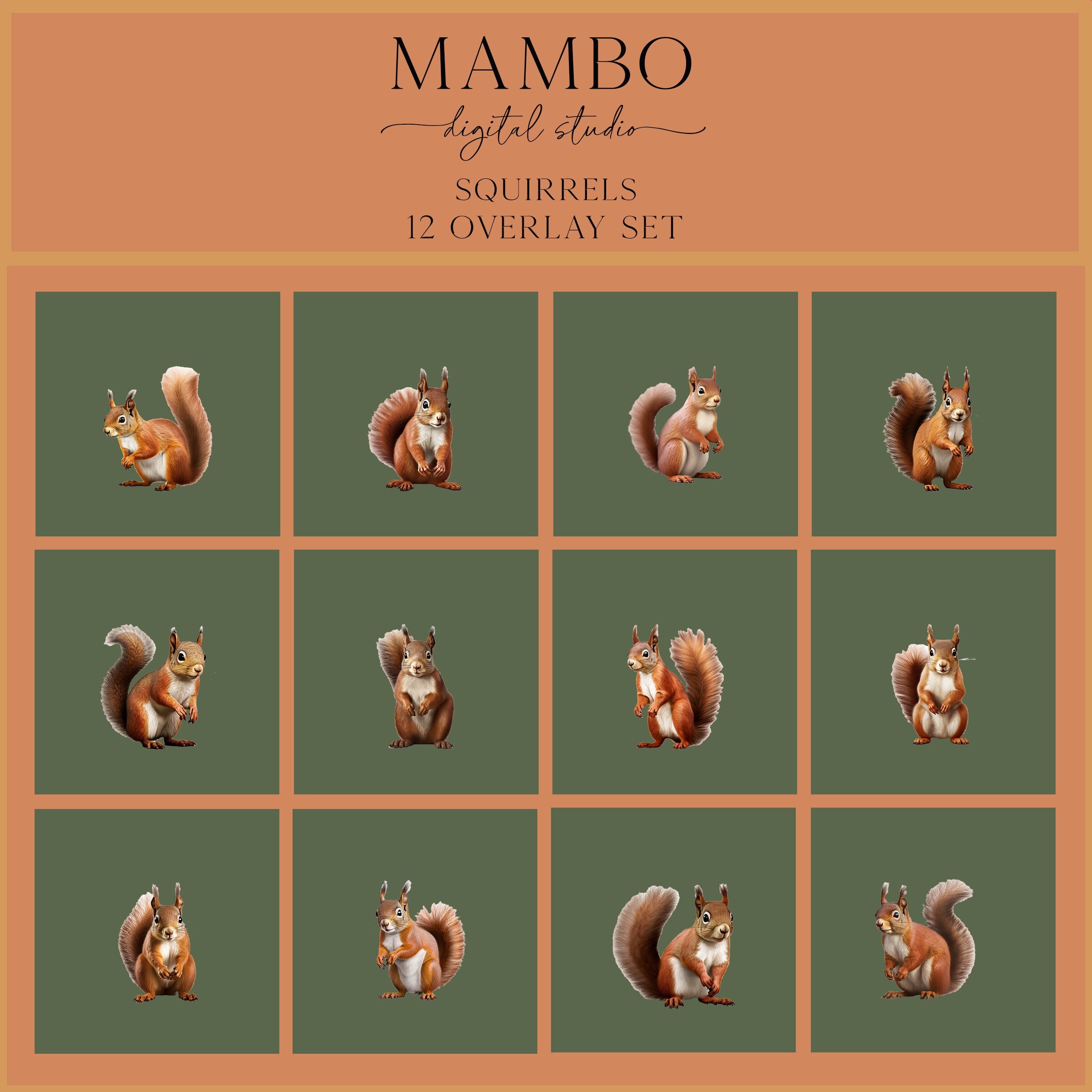 Squirrel Photoshop Overlay Set, Photoshop Overlays, Digital Overlay ...