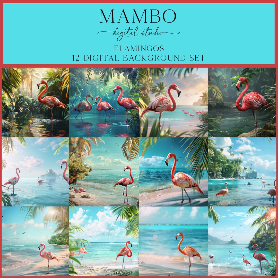Flamingo Scenes Digital Backdrop Set, Photoshop Background, Digital ...