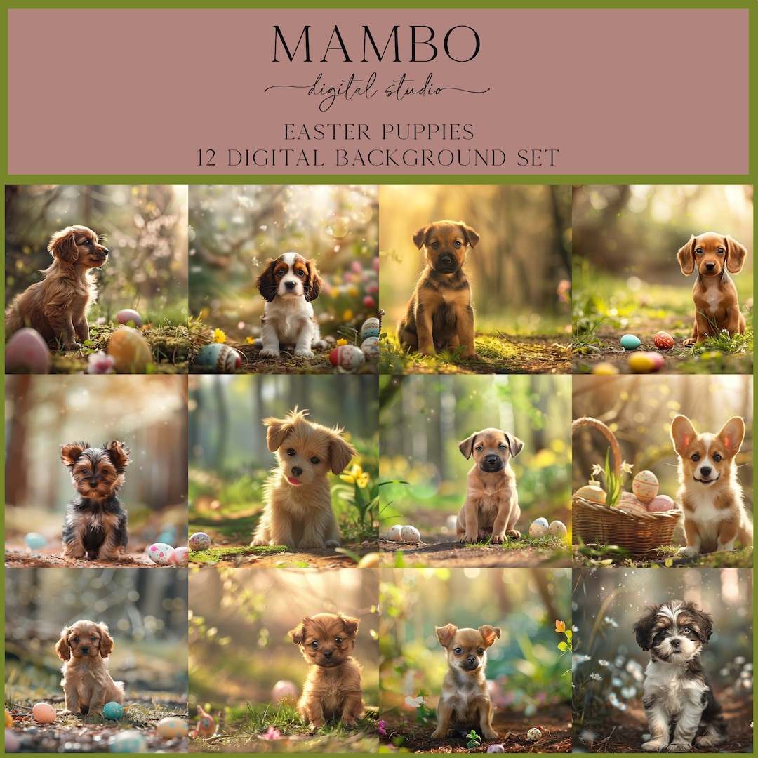 Easter Puppies Spring Scenes Digital Backdrop Set, Photoshop Background ...
