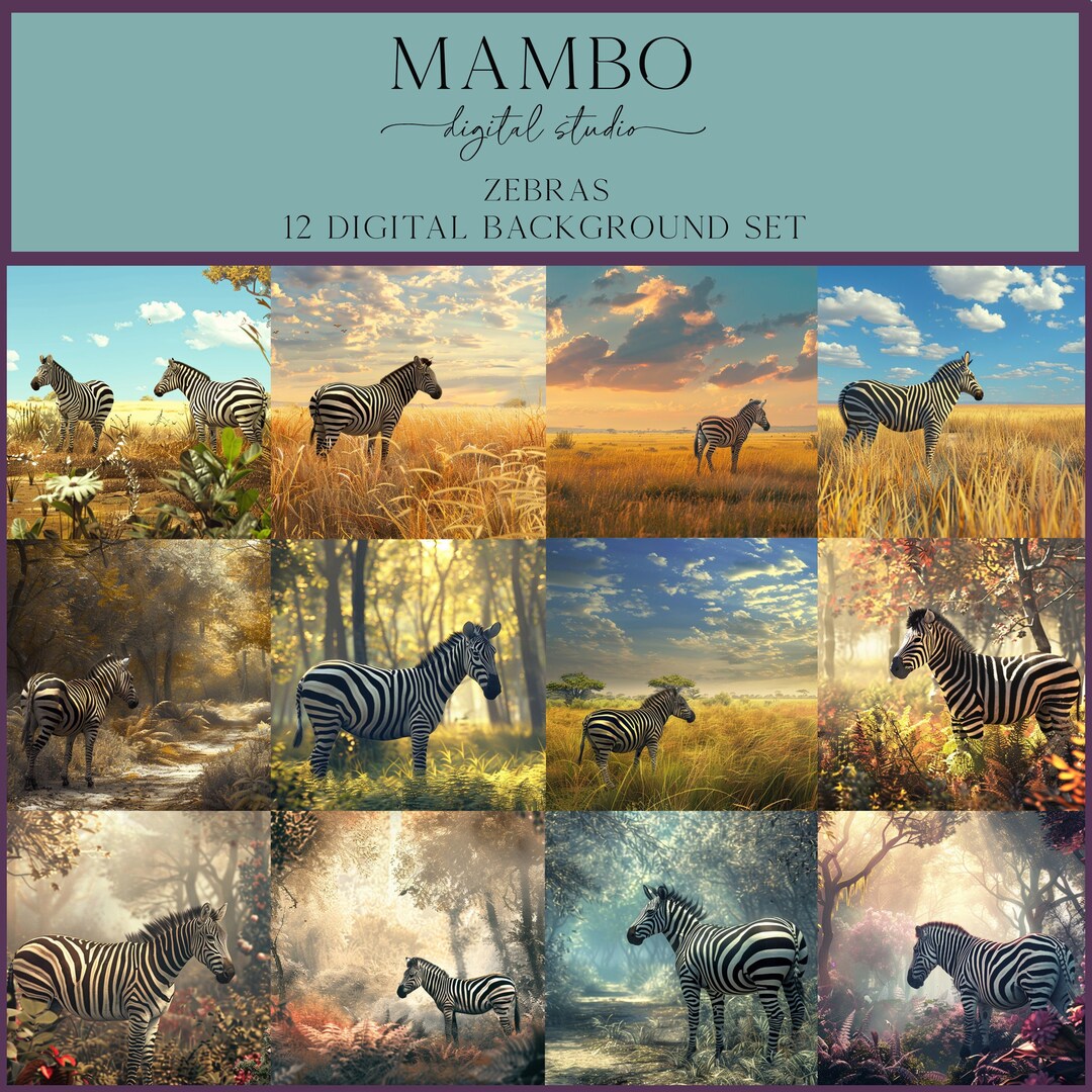 Zebra Scenes Digital Backdrop Set, Photoshop Background, Digital ...