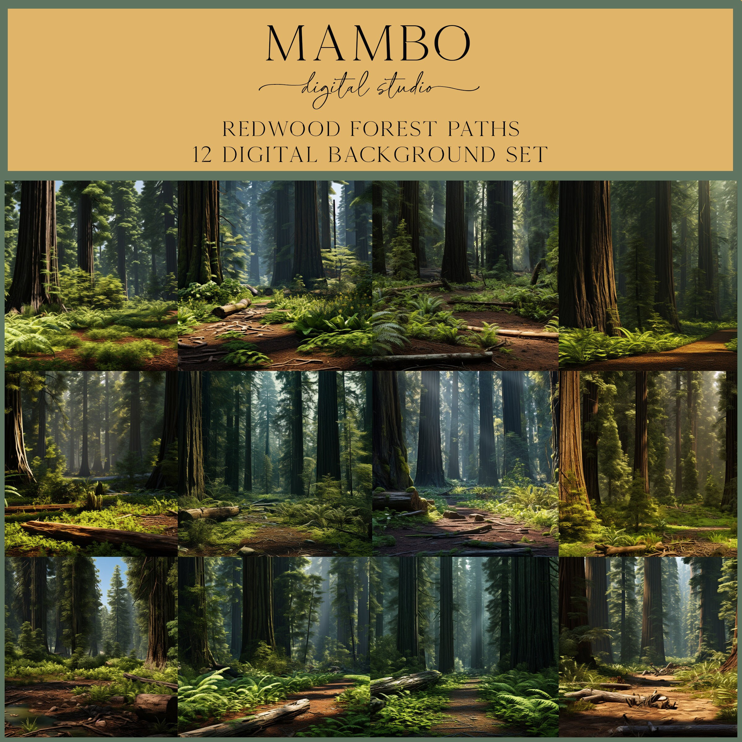 Redwood Forest Paths Digital Backdrop Set, Photoshop Digital Background ...