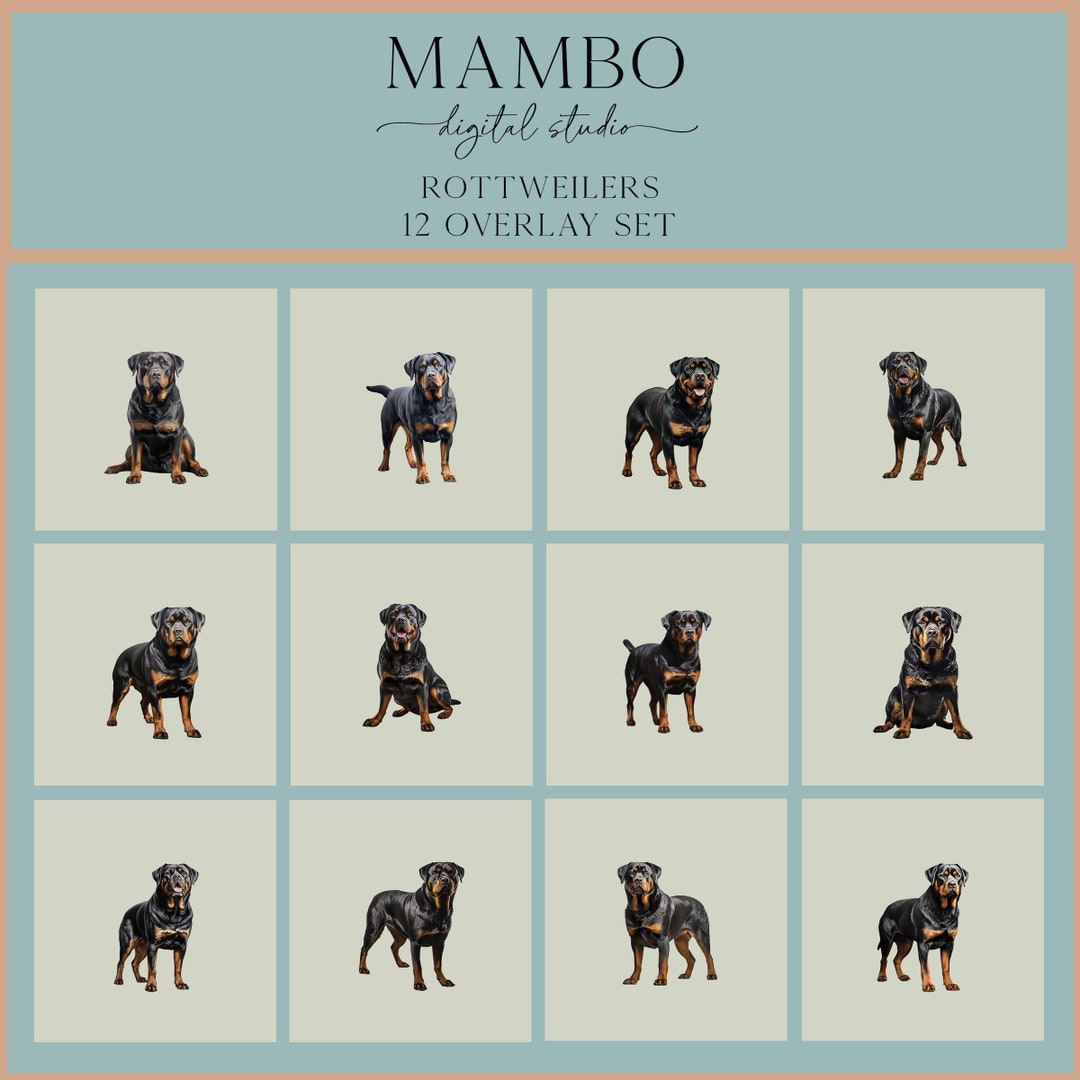Rottweiler Dogs Photoshop Overlay Set, Photoshop Overlays, Digital ...