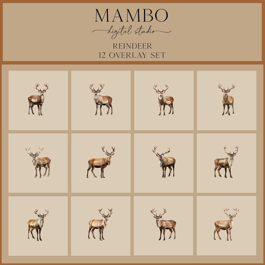 Reindeer Christmas Photoshop Overlay Set, Photoshop Overlays, Digital ...