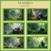 Panda Bear Scenes Digital Backdrop Set, Photoshop Background, Digital ...
