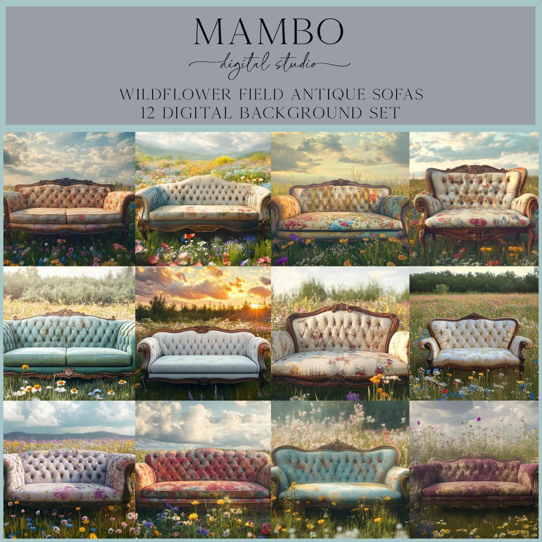Wildflower Field Antique Sofas Digital Backdrop Set, Photoshop ...