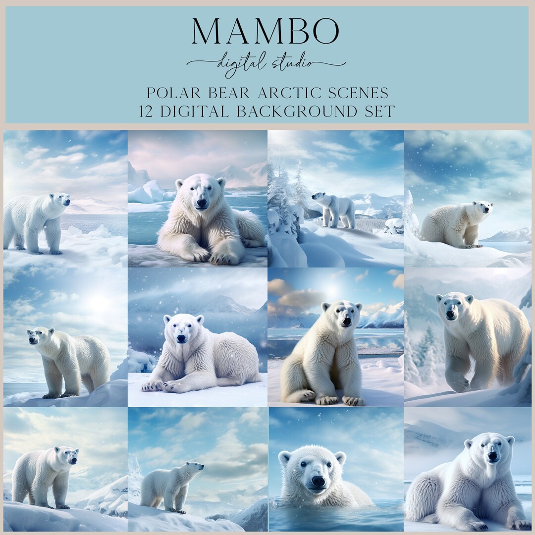 Polar Bear Arctic Scenes Digital Backdrop Set, Photoshop Background ...