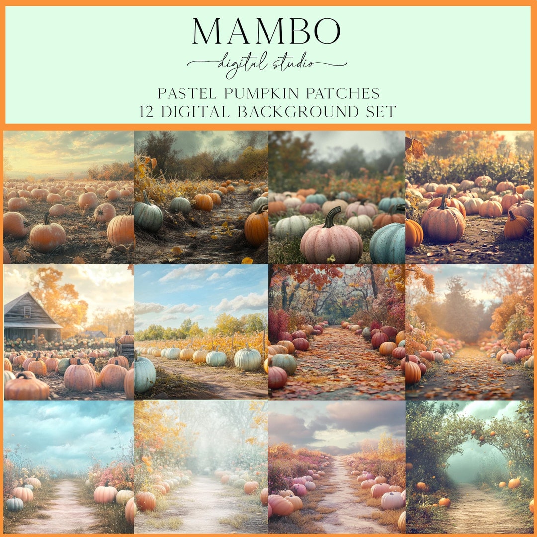 Pastel Pumpkin Patches Digital Backdrop Set, Photoshop Background, Digital Background, Maternity ...