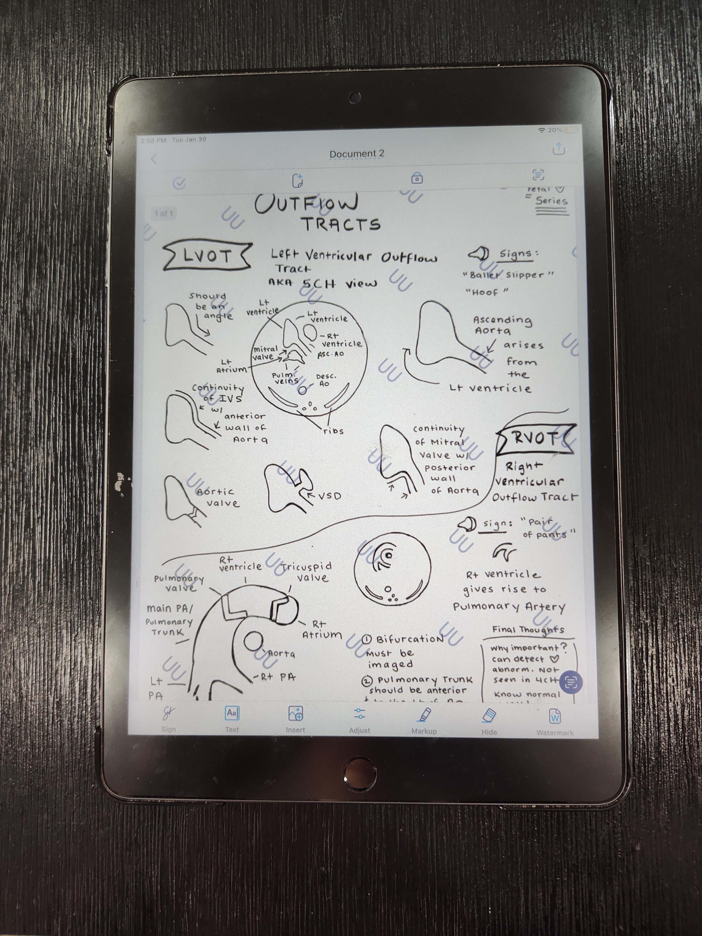Fetal Heart Bundle: Ultrasound Visual Reference (includes Overview, 4ch ...