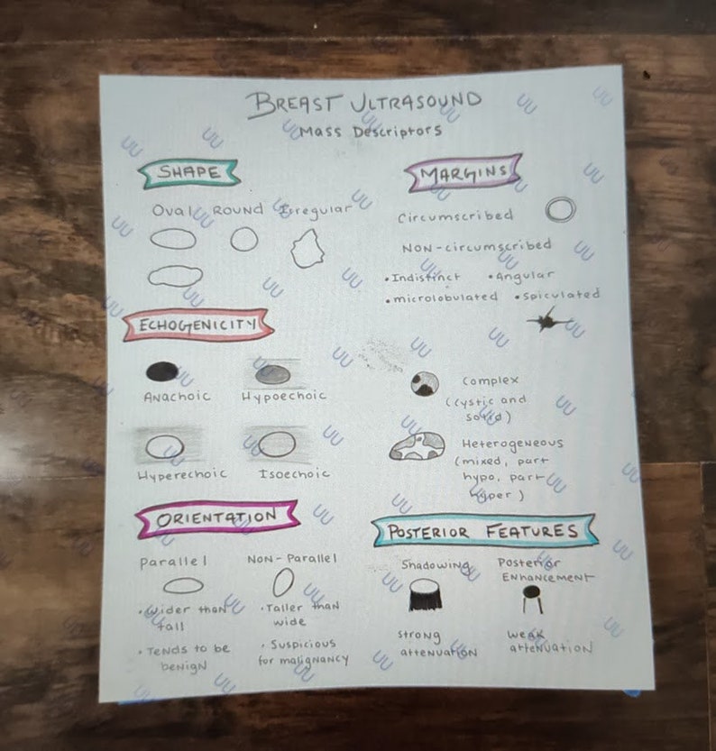 Breast Ultrasound Mass Descriptors Visual Reference - Etsy