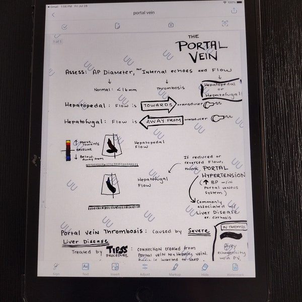 Sonographer Cheat Sheet - Etsy