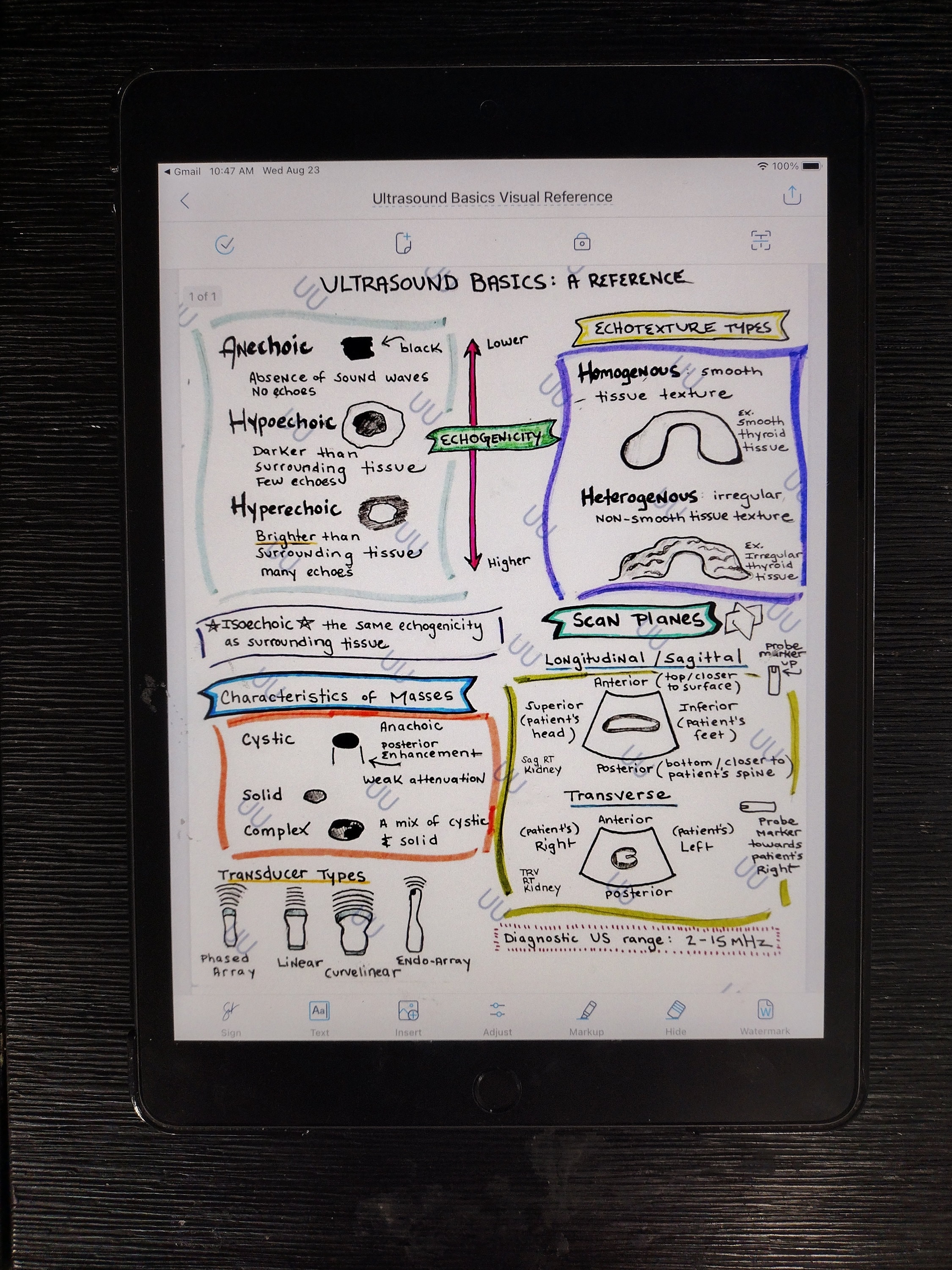 Ultrasound Basics Visual Reference - Etsy