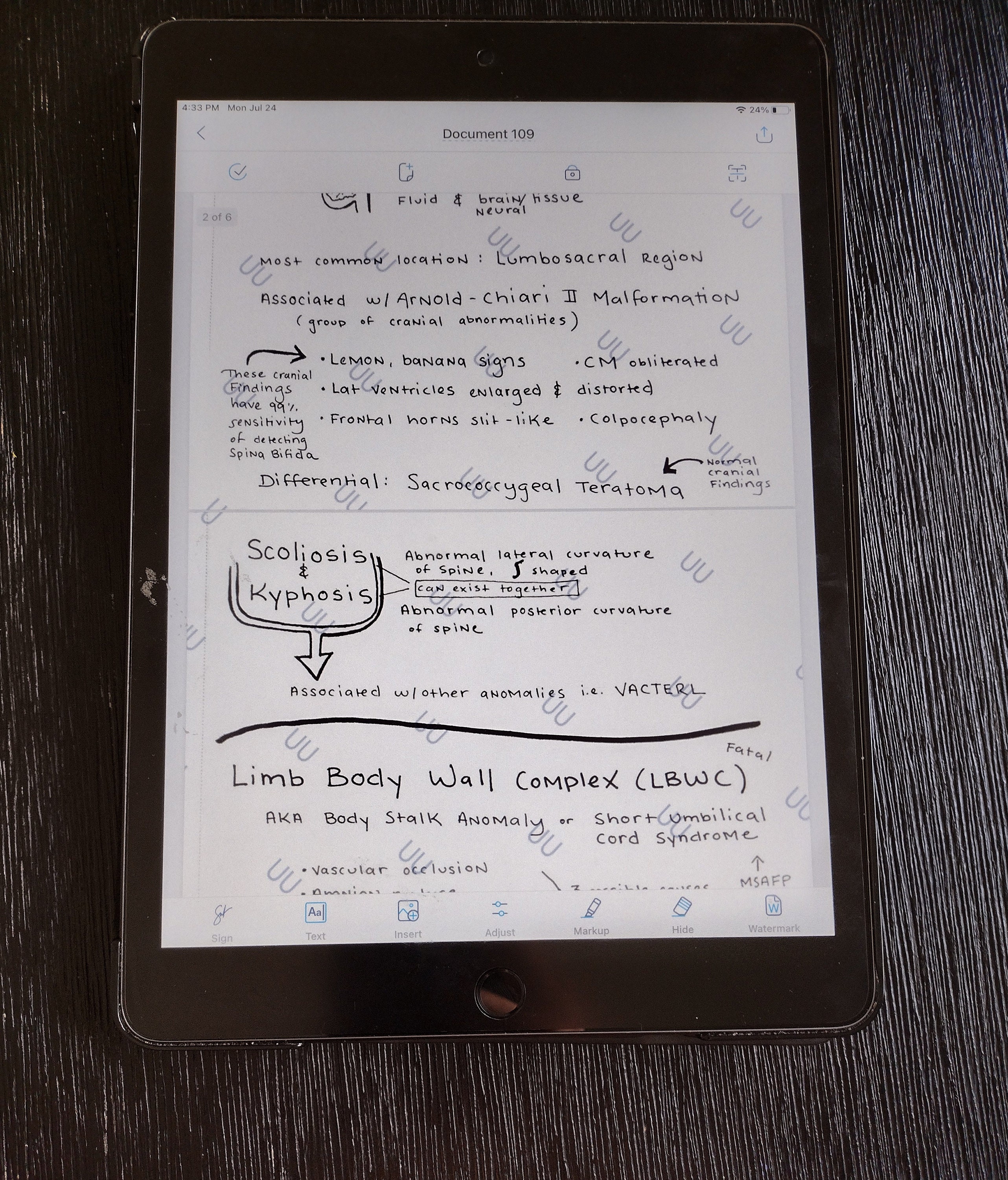 Sonography Visual Study Notes: Fetal Spine and Musculoskeletal ...