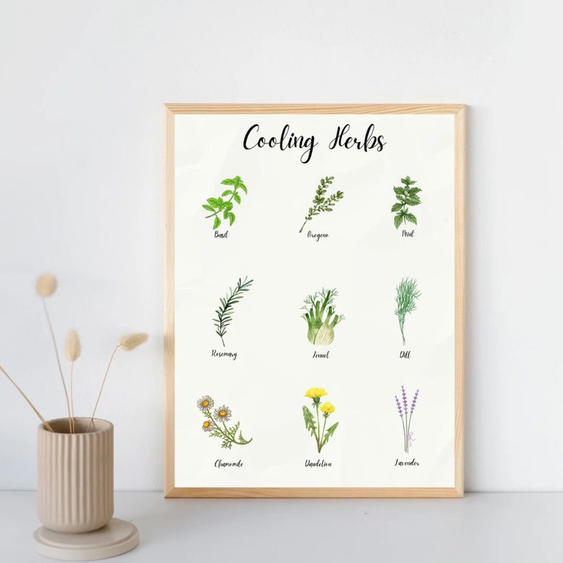Herb Poster - Etsy