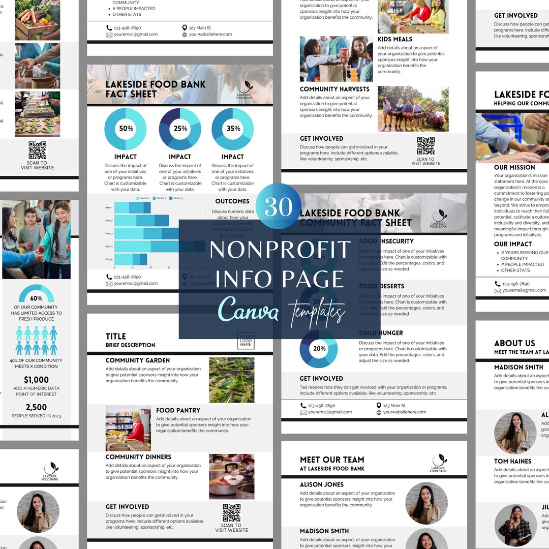 One Pager Nonprofit Canva Templates, Non Profit Program Infographic ...