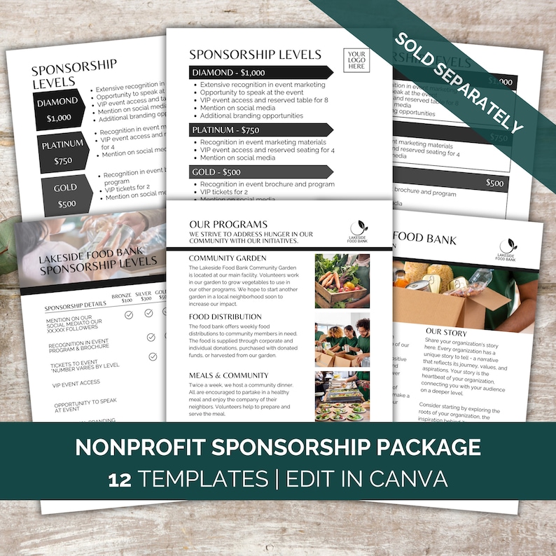 One Pager Nonprofit Canva Templates, Non Profit Program Infographic ...