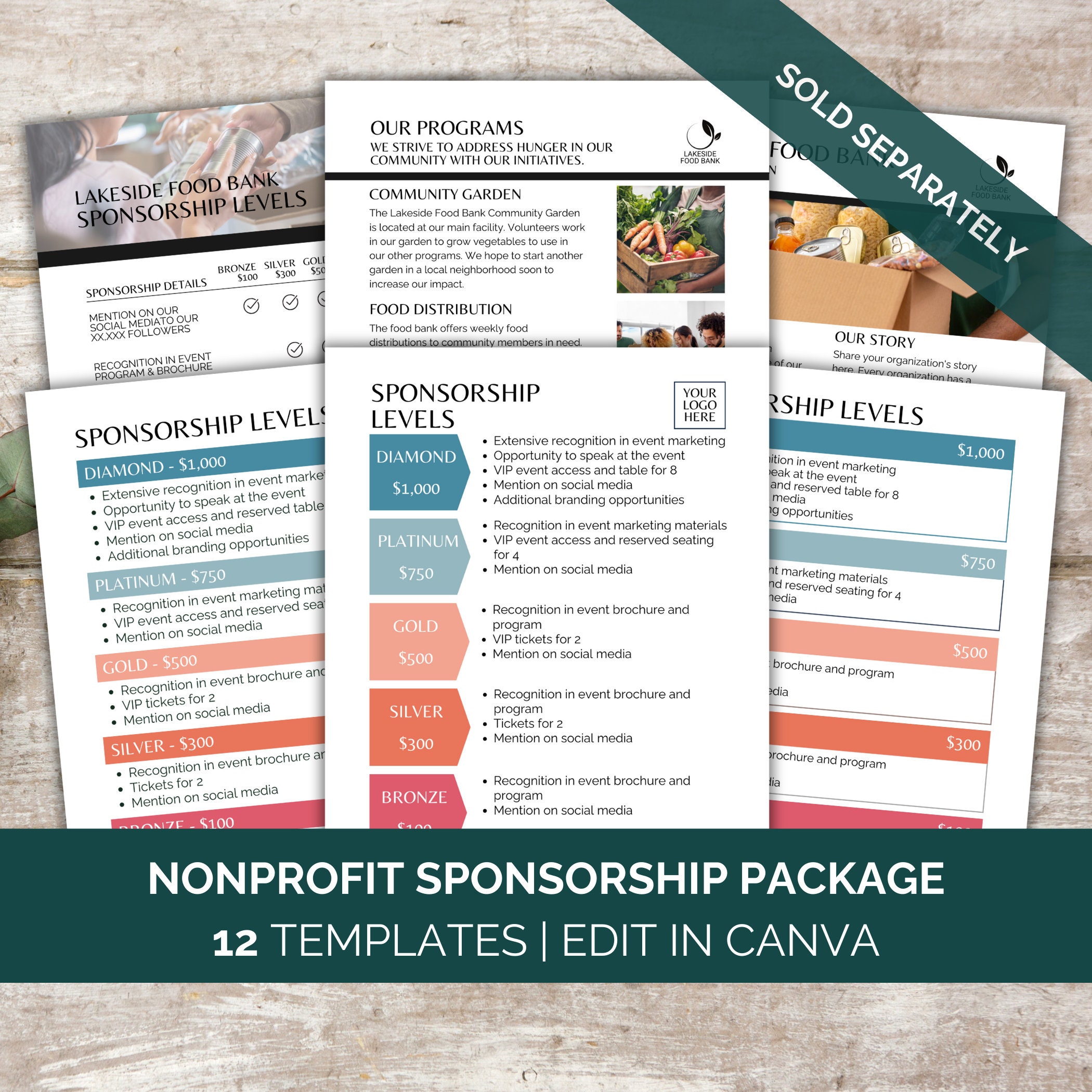 Nonprofit One Pager Canva Templates, Non Profit Program Infographic ...