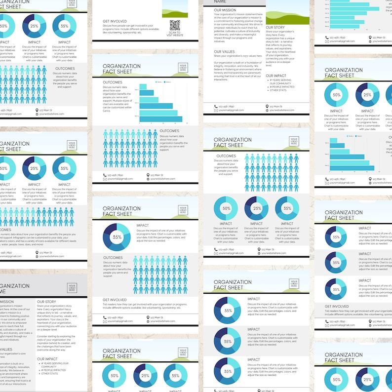 One Pager Nonprofit Canva Templates, Non Profit Program Infographic ...