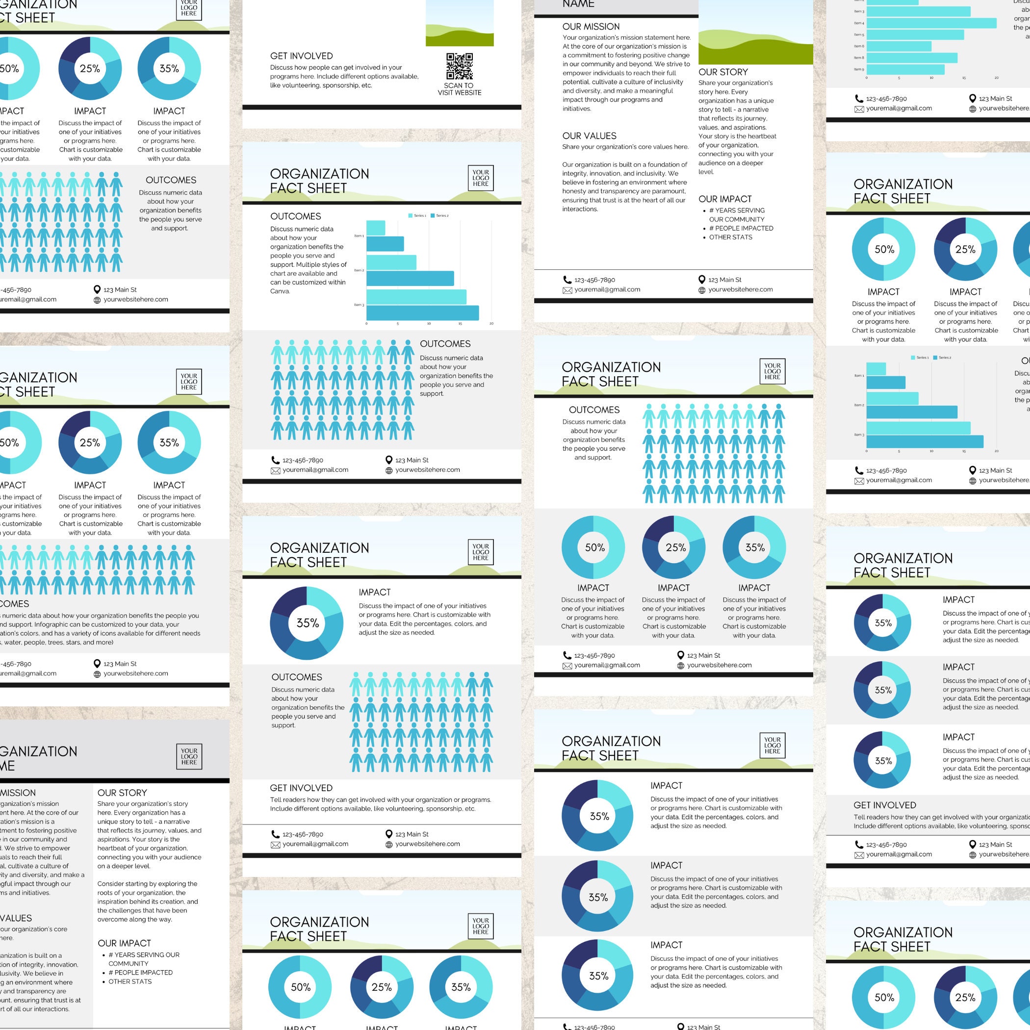 One Pager Nonprofit Canva Templates, Non Profit Program Infographic ...