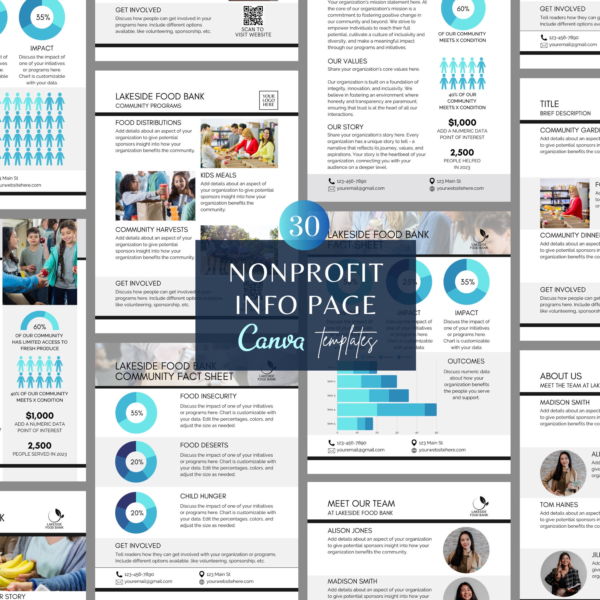 One Pager Nonprofit Canva Templates, Non Profit Program Infographic ...