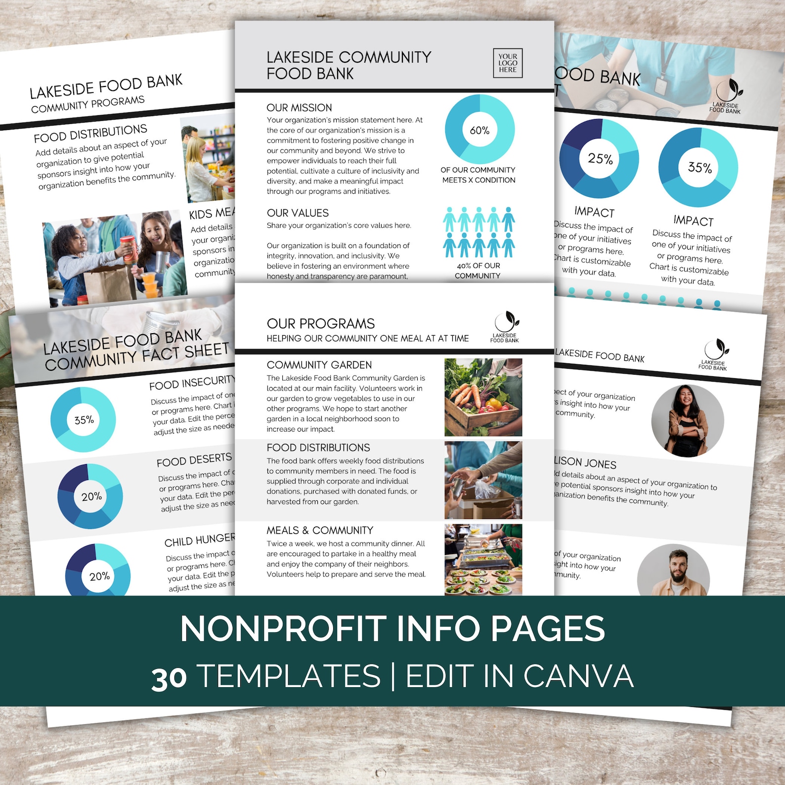 Nonprofit One Pager Canva Templates, Non Profit Program Infographic ...