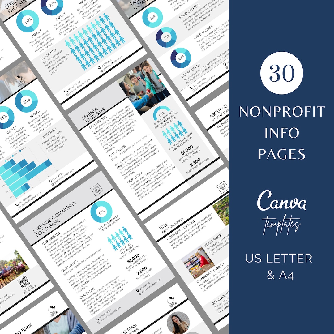 Nonprofit One Pager Canva Templates, Non Profit Program Infographic ...