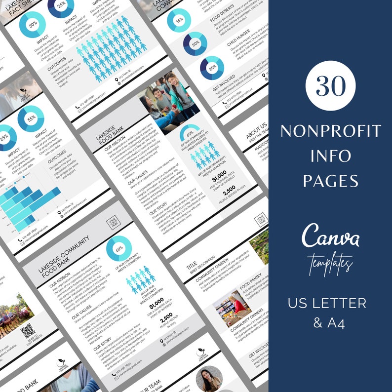 Nonprofit One Pager Canva Templates, Non Profit Program Infographic ...