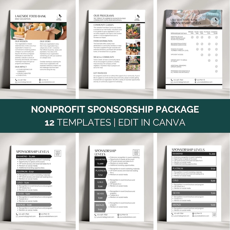 Sponsorship Levels Template, Nonprofit Sponsor Level Flyer, Event ...