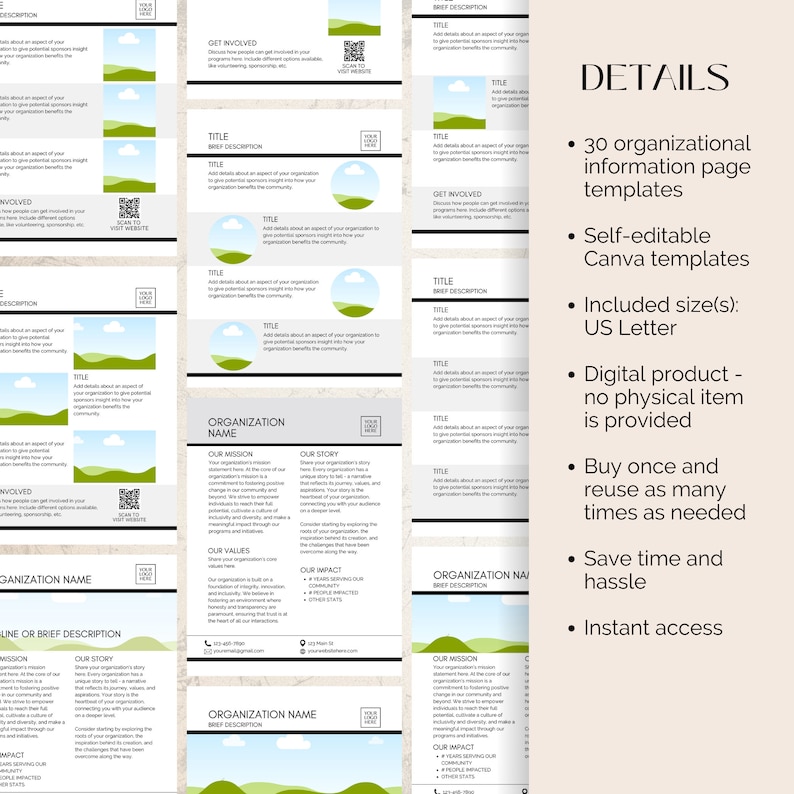 One Pager Nonprofit Canva Templates, Non Profit Program Infographic ...