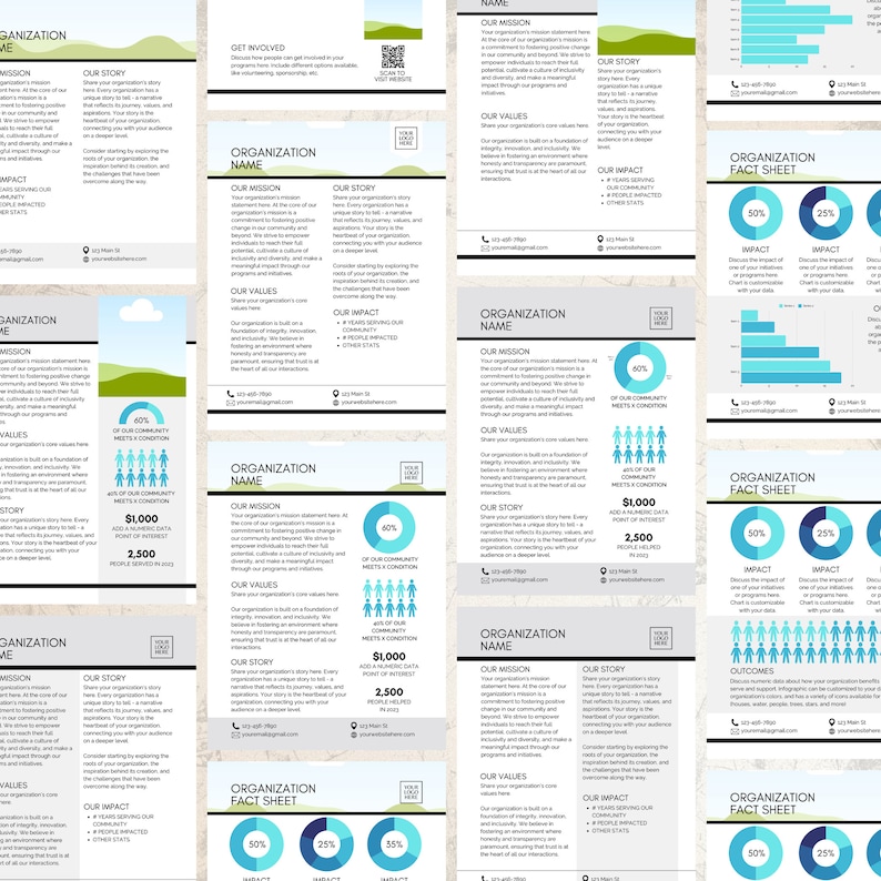 One Pager Nonprofit Canva Templates, Non Profit Program Infographic ...