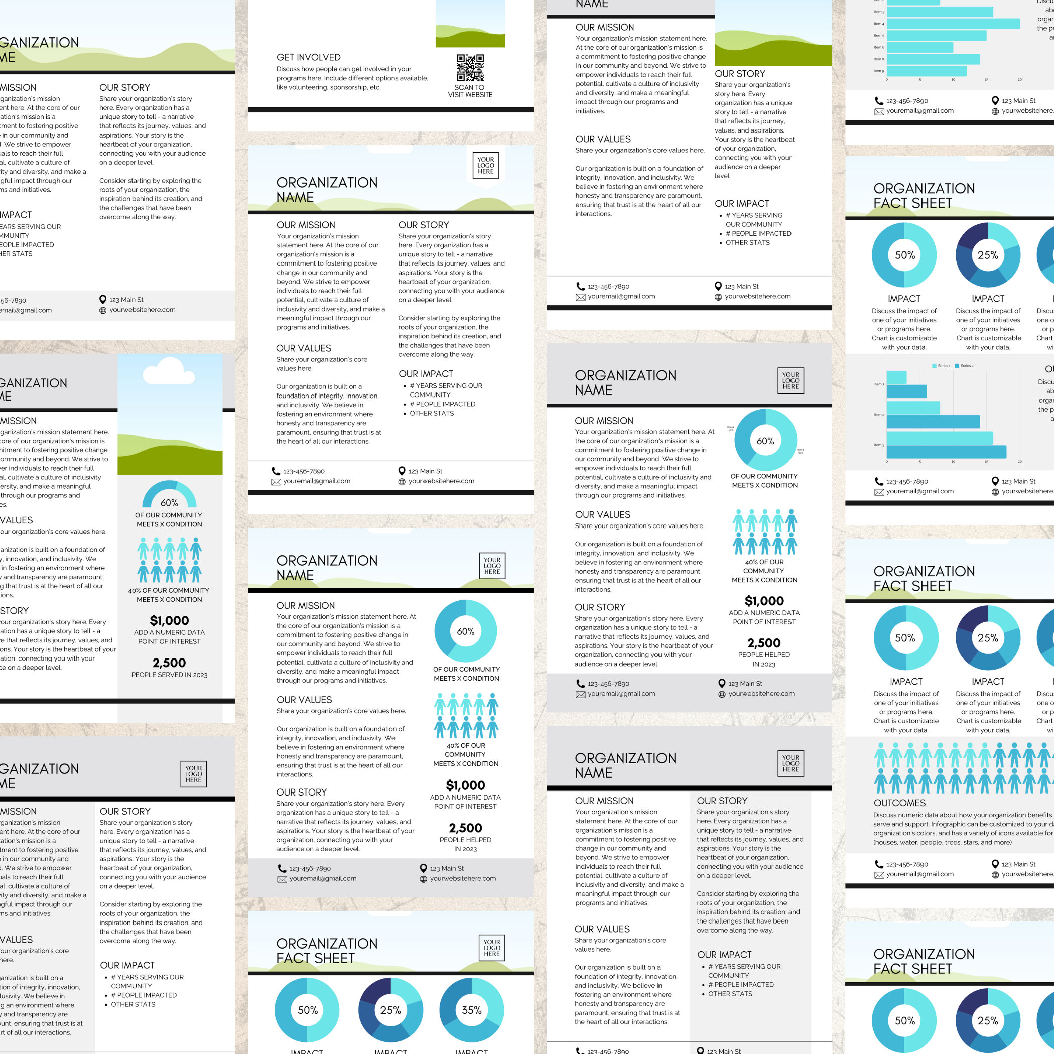 Nonprofit One Pager Canva Templates, Non Profit Program Infographic ...