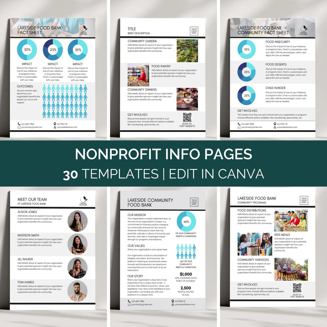 One Pager Nonprofit Canva Templates, Non Profit Program Infographic ...