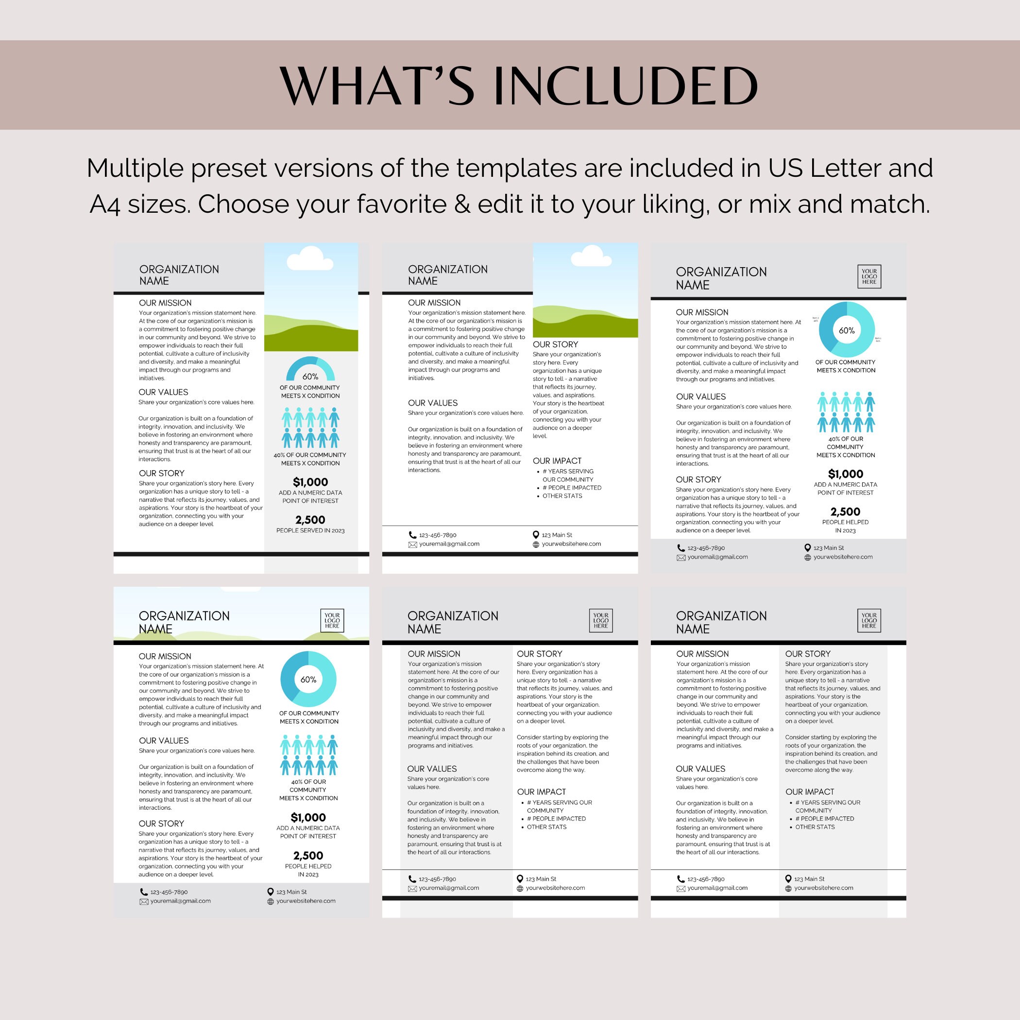 One Pager Nonprofit Canva Templates, Non Profit Program Infographic ...