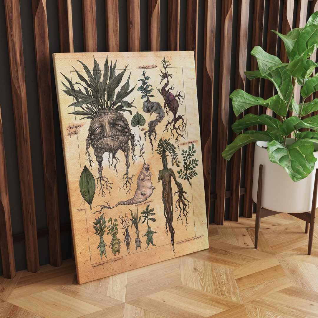 Herbology Medicinal Plant Canvas Wall Art, Magic Botanical Canvas Print ...
