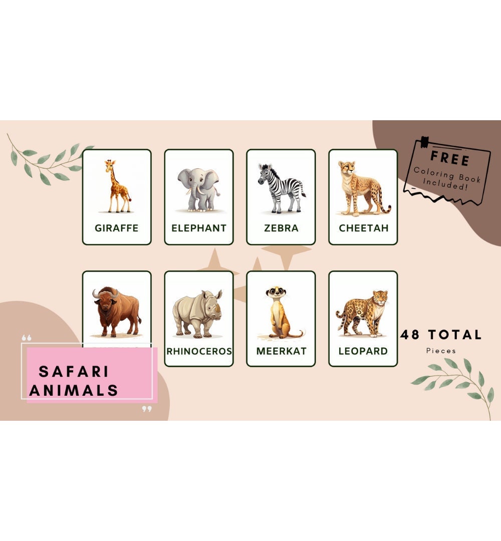 SAFARI ANIMAL FLASHCARDS - 16 Animals - Educational - Preschool Toys ...