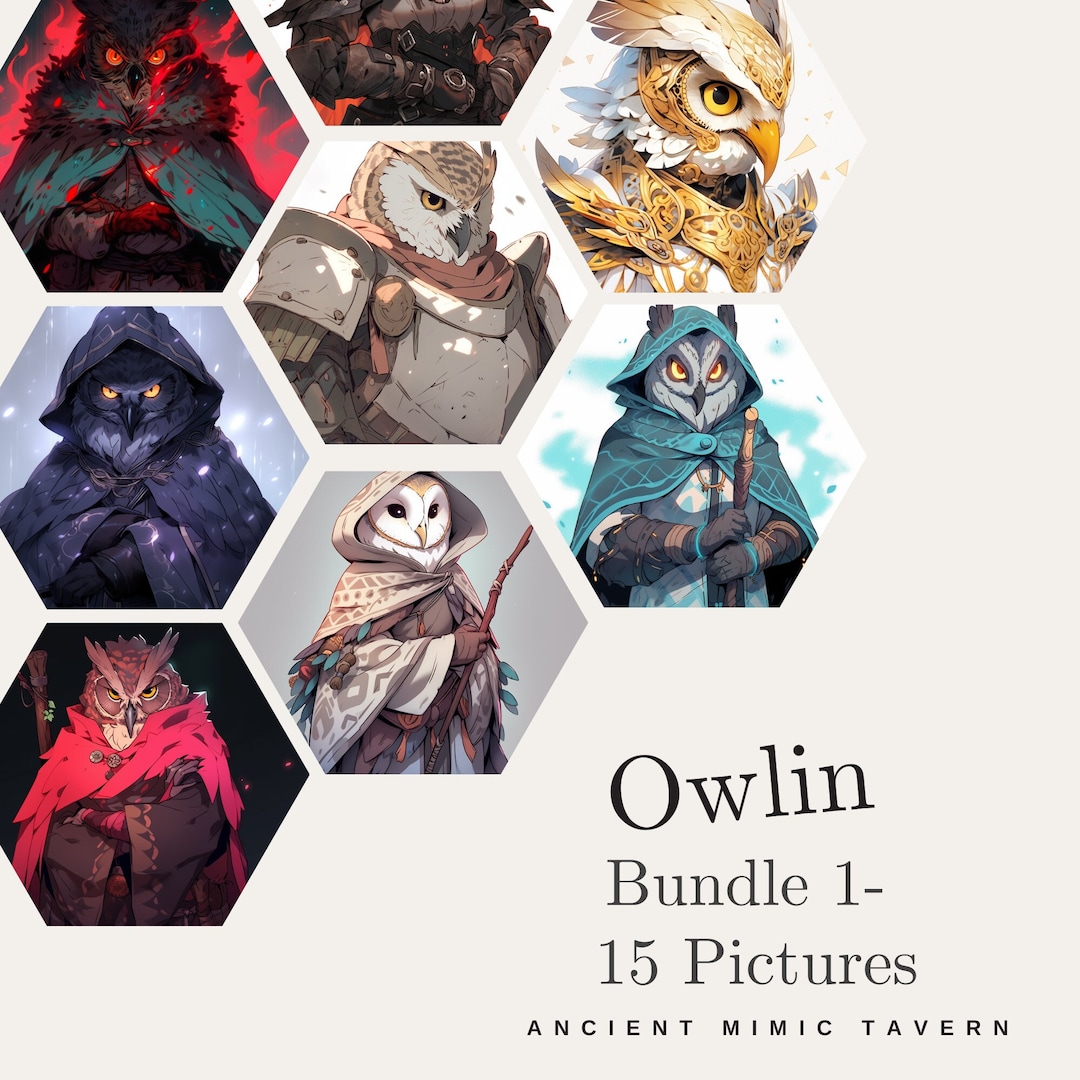 Owlin Bundle 1- 15 Owlin Portraits, Dungeons and Dragons Art, D&D Art ...