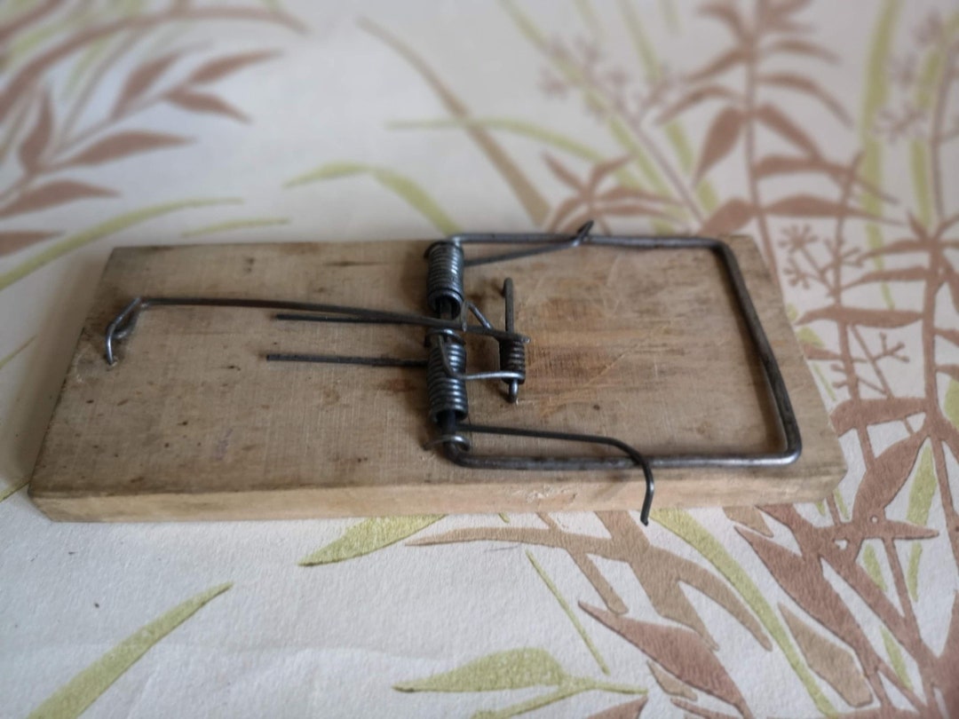 Vintage Wooden Mouse Trap - Spring Mechanism, Rustic Home Decor ...