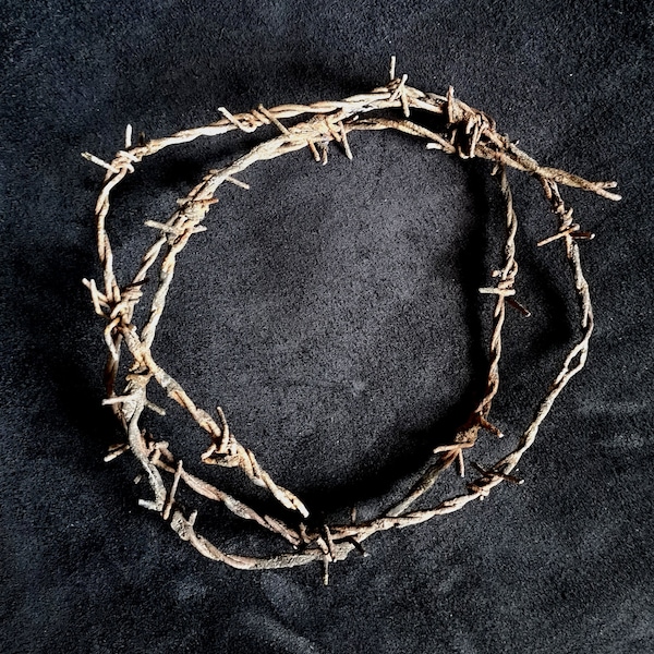 Rusty Barbed Wire - Etsy